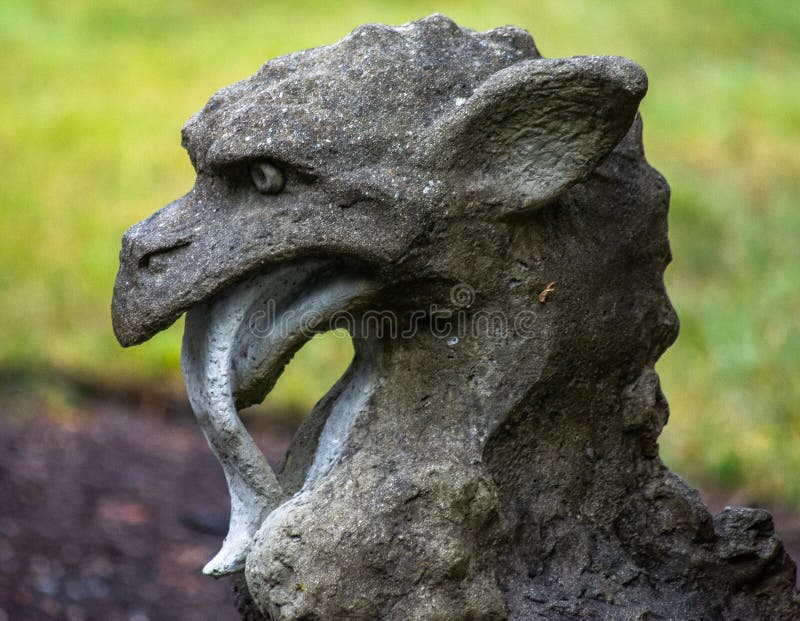 Waterspout animal grotesco imagem de stock. Imagem de pedra - 5816577