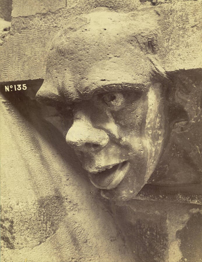 Grotesque Head From Reims Cathedral Picture. Image: 221401011