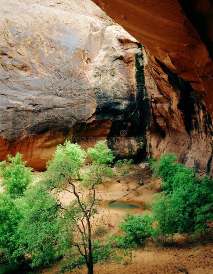 Grotto Arch, Canyonlands National Park, Utah Stock Image - Image of ...