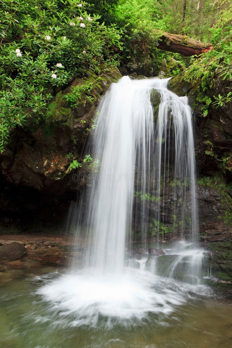 105 Grotto Falls Smoky Mountains Stock Photos - Free & Royalty-Free ...