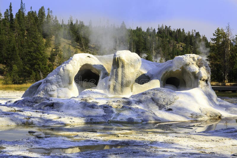 Grotto Geyser in Yellowstone National Park Stock Image - Image of green ...