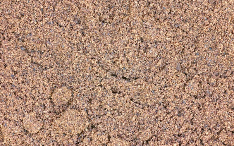 Ground Allspice Close View stock photo. Image of background - 22768816