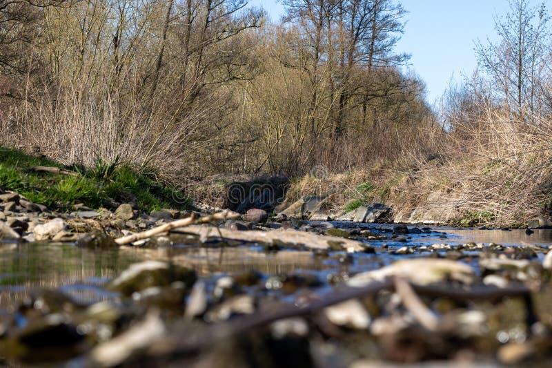 Ground Angle Shot of Water Stream Flowing Down a Creek in Spring Stock ...