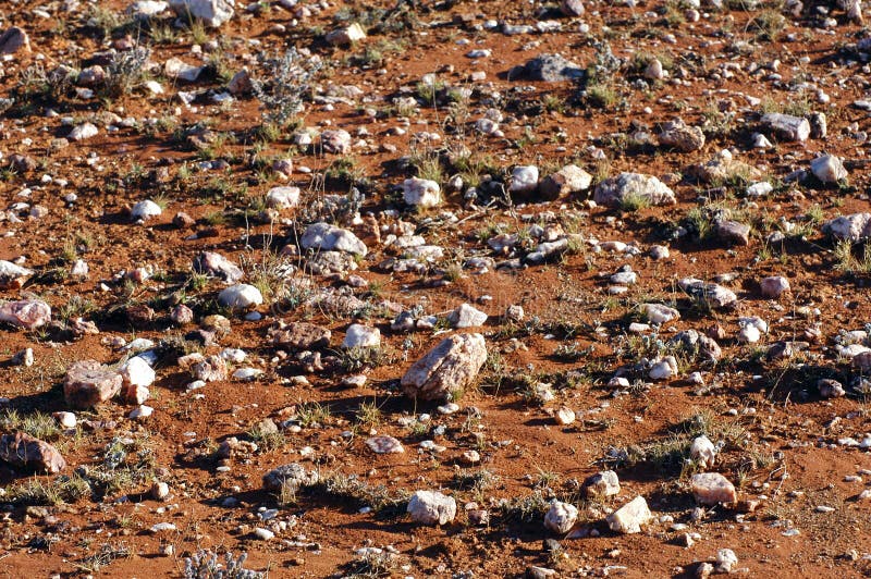 Ground of the Australian Bush Stock Photo - Image of earth, australia ...