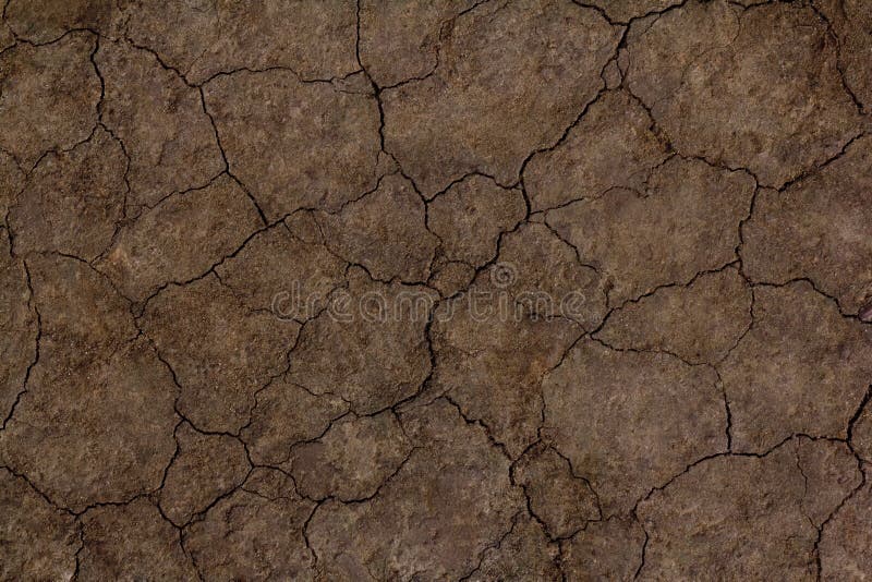 Earth (mould humus) stock photo. Image of background - 25015932