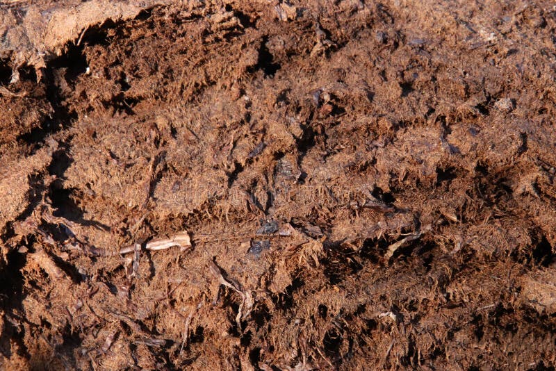 Ground Background. Loose Soil Texture Stock Photo - Image of flora ...