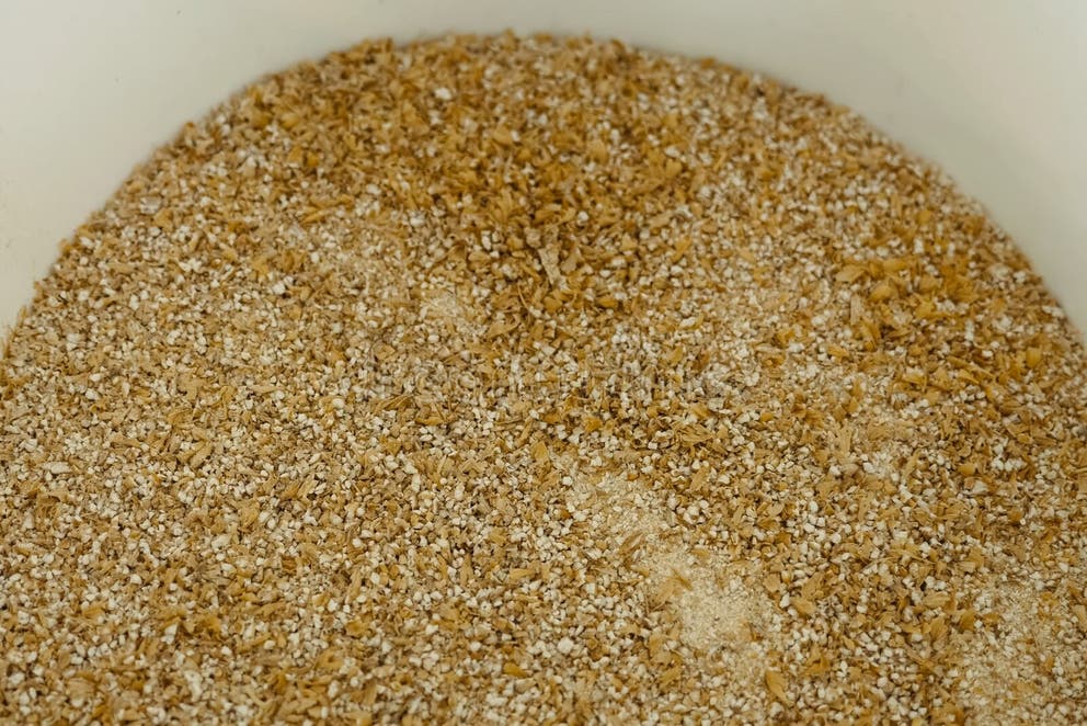 Ground Barley in Container, Grinding Barley Stock Image - Image of ...