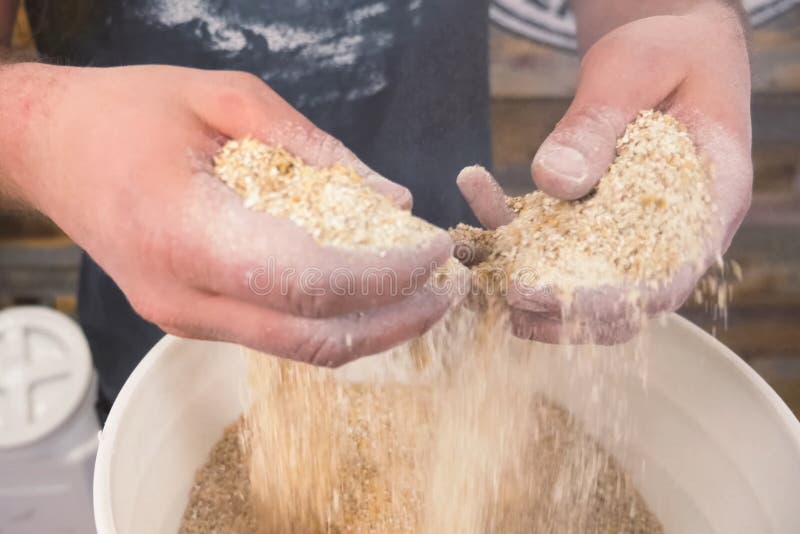 Ground Barley in Container, Grinding Barley Stock Image - Image of ...