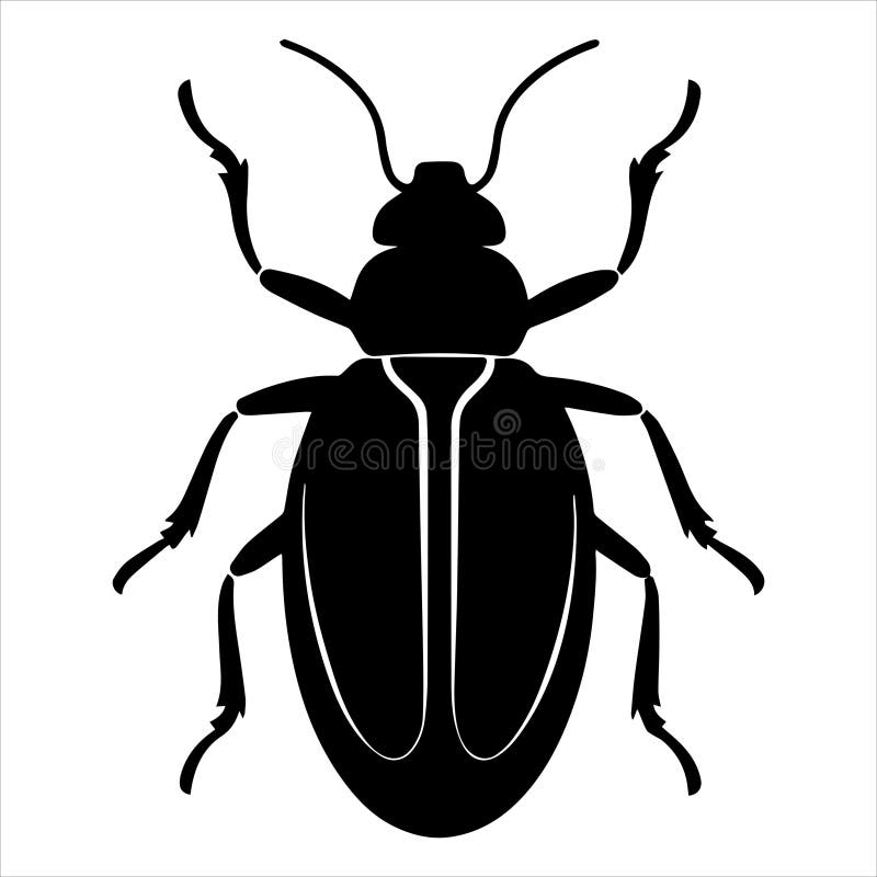 Ground beetle vector art stock illustration. Illustration of symbol ...