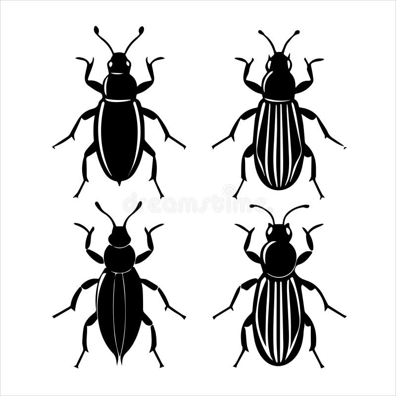 Ground beetle vector art stock illustration. Illustration of wild ...