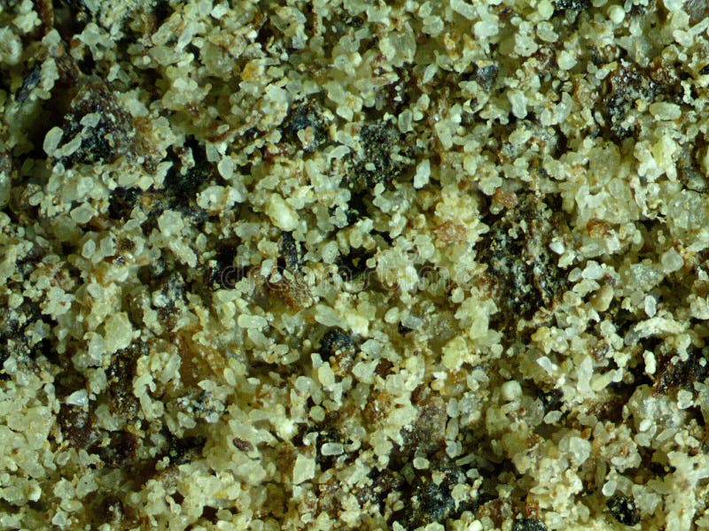 139 World Under Microscope Stock Photos - Free & Royalty-Free Stock ...