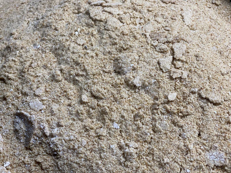 Ground Bread Crumbs Powder Close-up Stock Image - Image of grain ...