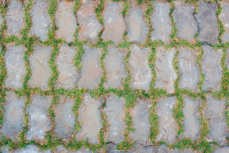 Ground brick stock photo. Image of lane, grass, cobble - 83922840