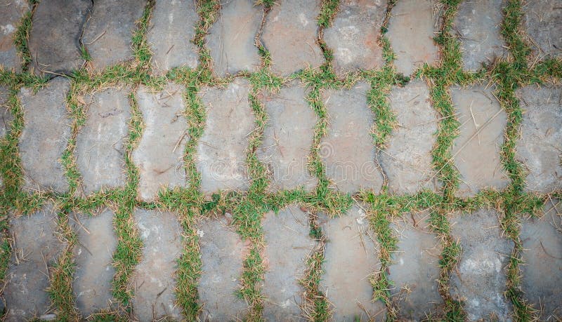 235 Brick Pathway Horizon Stock Photos - Free & Royalty-Free Stock ...