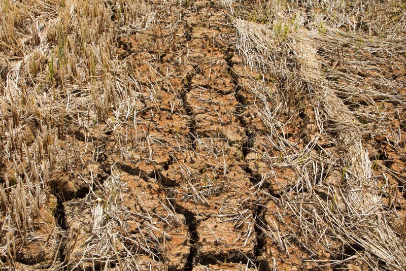 Ground broken. stock photo. Image of detail, closeup - 31452402