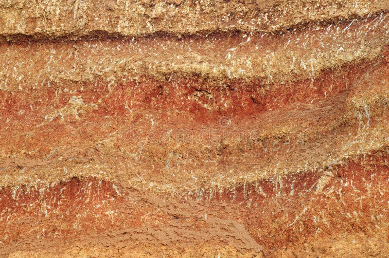 109 Loam Wall Rough Surface Texture Background Stock Photos - Free ...