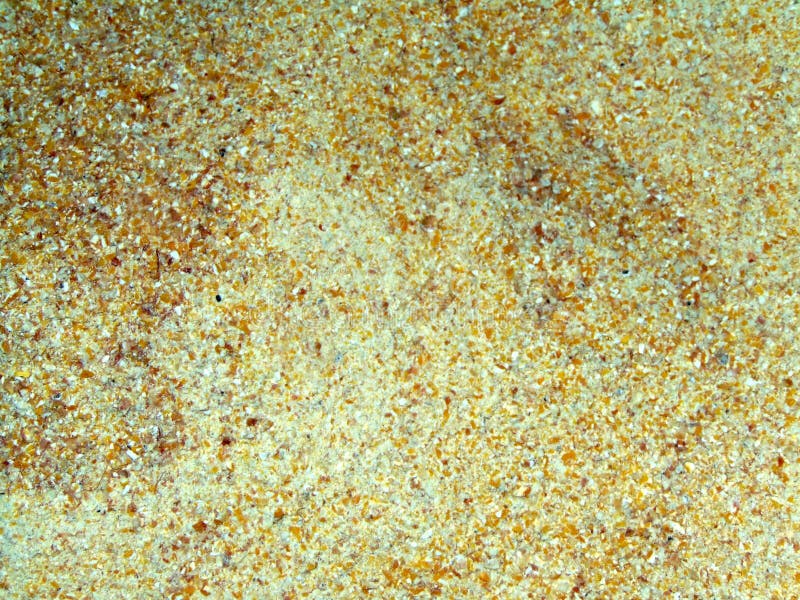 Ground Corn at Farm in Maramures Stock Image - Image of agriculture ...