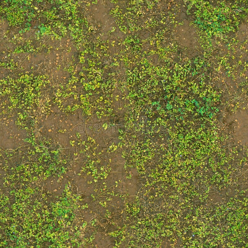 7,368 Weeds Texture Stock Photos - Free & Royalty-Free Stock Photos ...