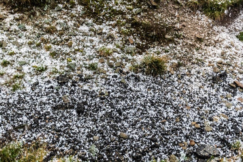 Ground covered with hail stock image. Image of earth - 298569383