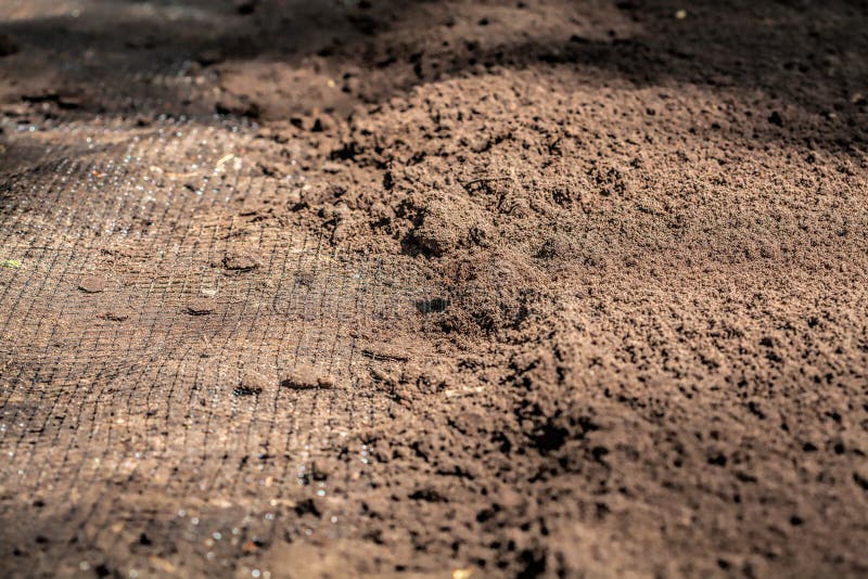 Ground covered with net stock image. Image of landscaping - 31726785