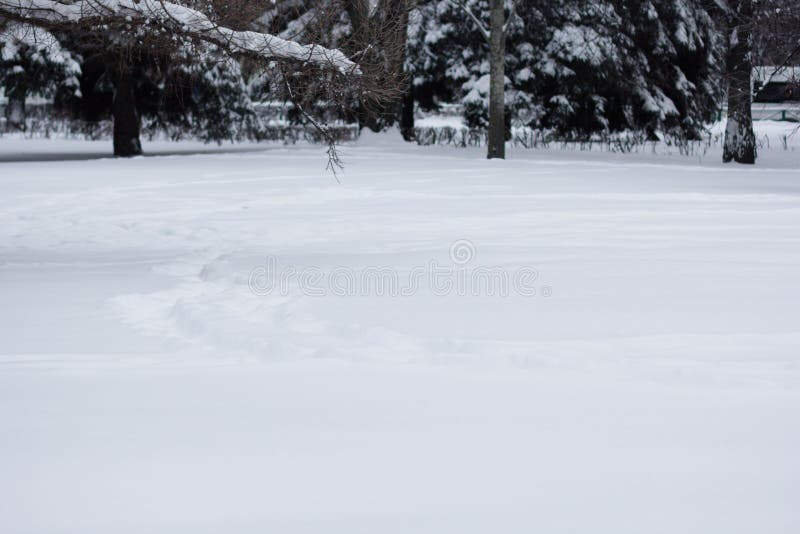 Ground Covered by Snow in Snowy Park in Winter Stock Photo - Image of ...