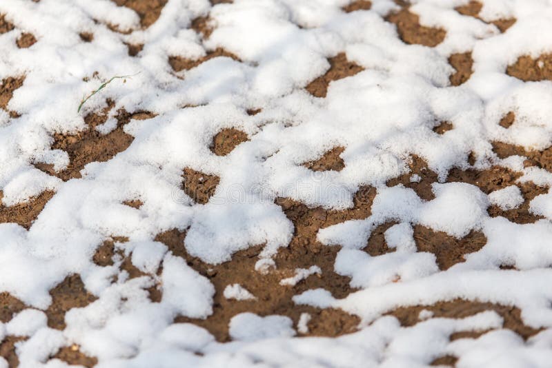 Ground Covered with Snow in the Winter Stock Image - Image of closeup ...
