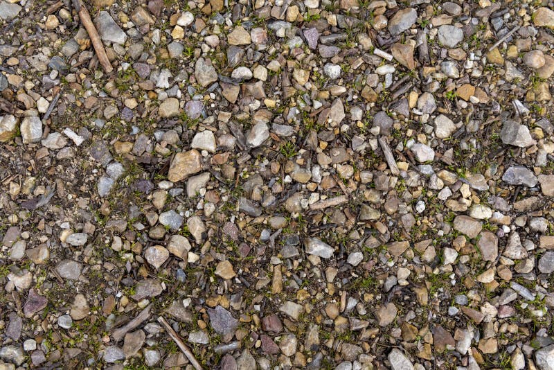 Ground Covered with Stones and Sticks in the Field. Vector Stone ...