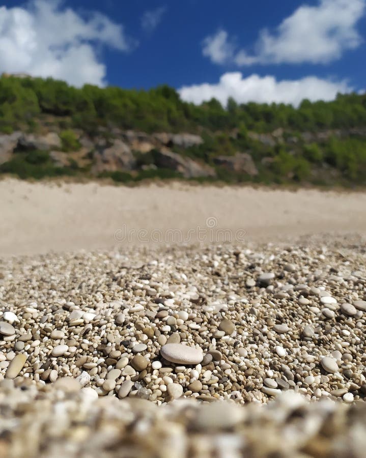 The Ground is Covered with Various Small Rocks and Pebbles, As Seen ...