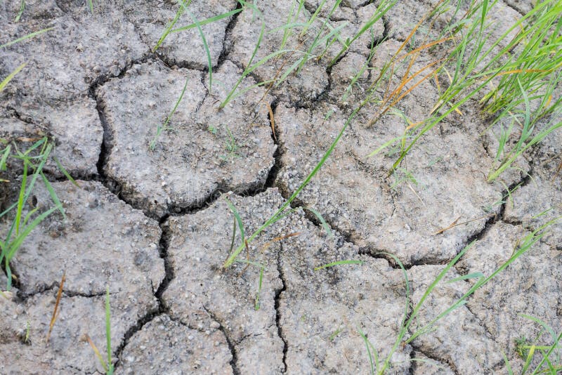 Ground crack stock image. Image of climate, crack, drought - 56254903