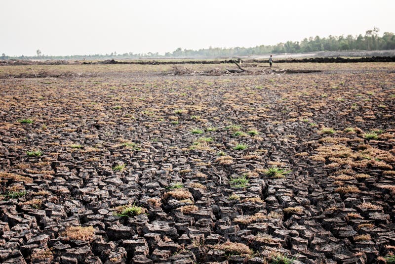 Dry crack field stock image. Image of global, grass, landscape - 10255585