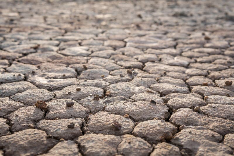 Ground Crack Texture Background Stock Photo - Image of nature, drought ...