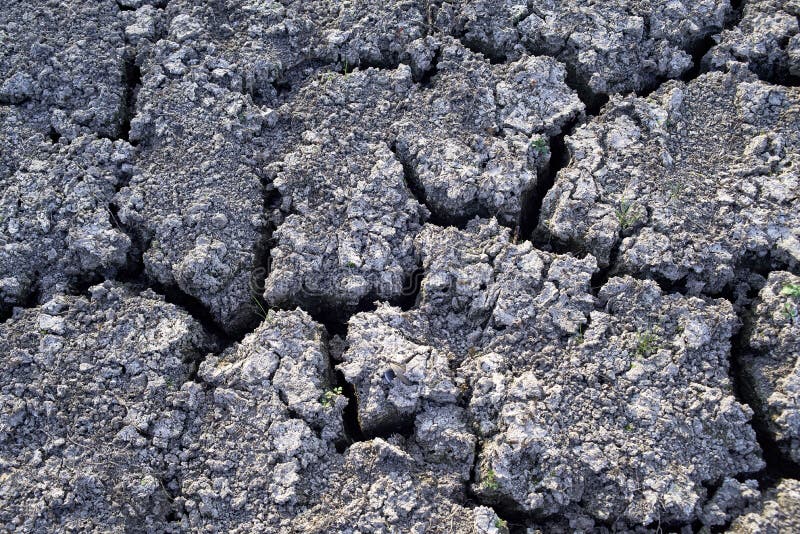 Photo of Ground Cracked after the Heat in the Summer Stock Photo ...