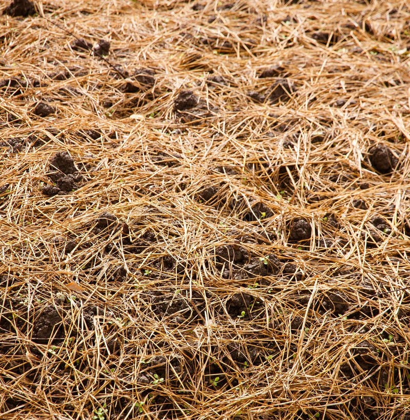Ground crop stock photo. Image of aerial, agriculture - 38566512