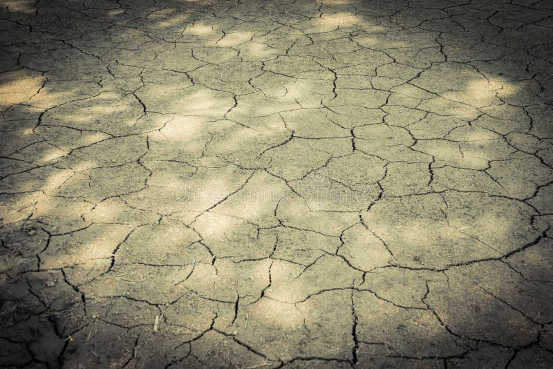 Ground dry stock photo. Image of disaster, growth, sprout - 56681810