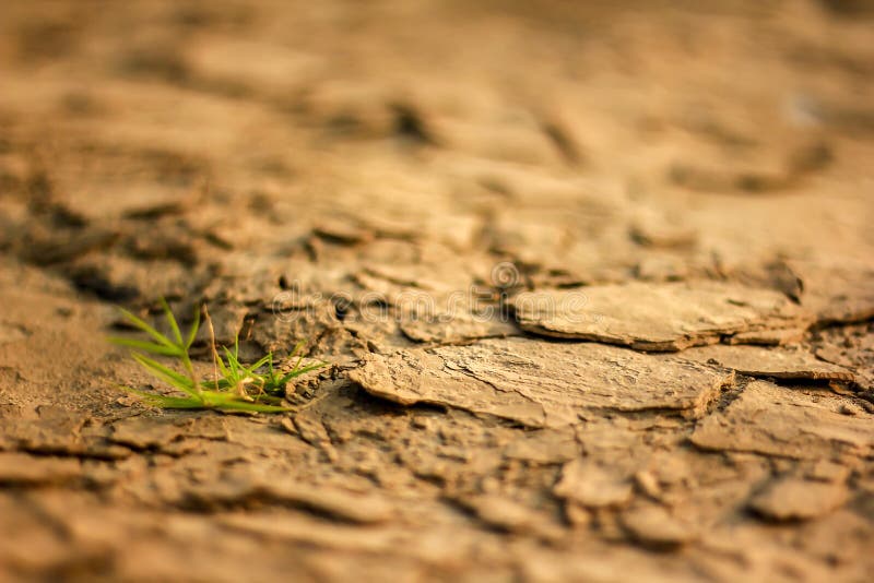 The Ground is Dry from Drought. Stock Photo - Image of dead, desert ...