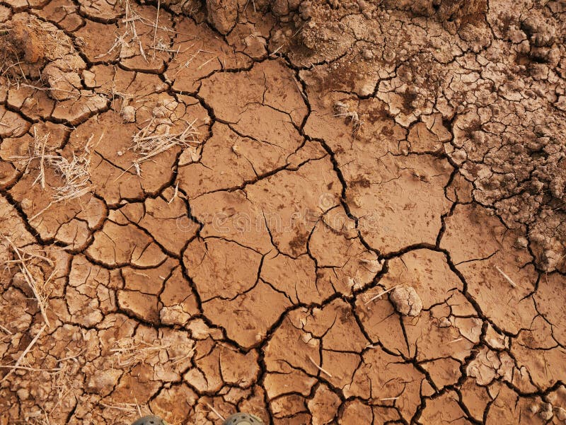 142 Fissured Soil Stock Photos - Free & Royalty-Free Stock Photos from ...