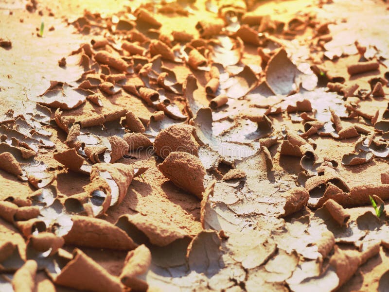 The Ground is Dry and Split and Broken Stock Image - Image of ...