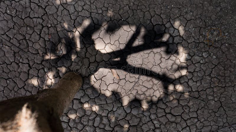 Ground dry stock image. Image of environment, earth, desert - 70052357