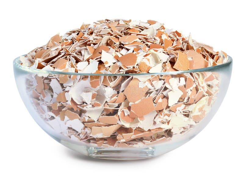 Ground egg shells stock image. Image of salmonella, eggs - 72489157