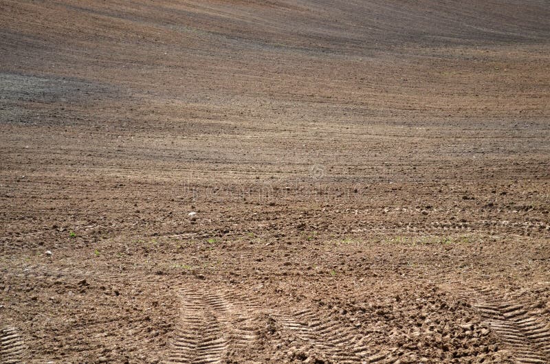 Ground fied stock image. Image of sunny, hewn, grain - 44003785