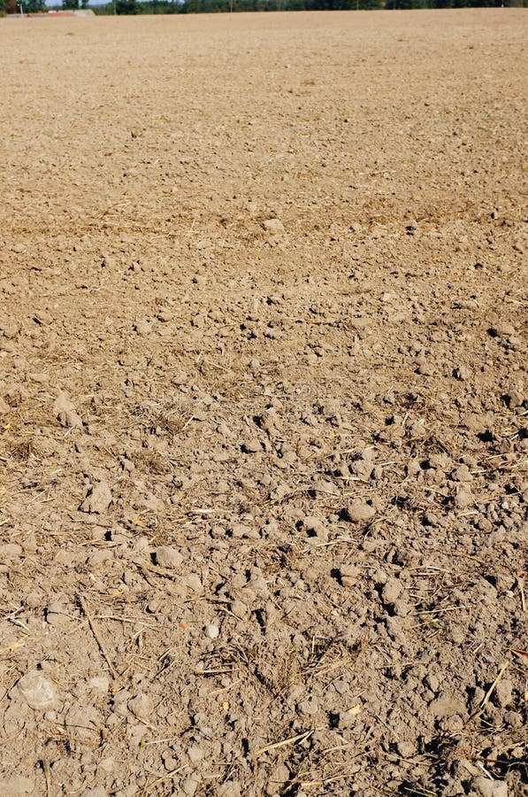Ground field stock photo. Image of ecoregion, crop, ground - 44628068