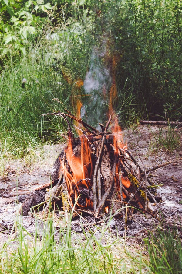 On the Ground a Fire Burns in the Forest with a Bright Flame Stock ...