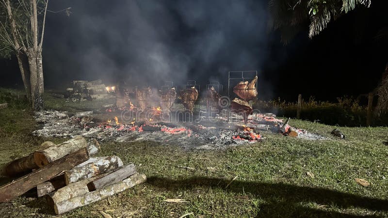 Ground Fire Roasted Ribs on Farm Stock Image - Image of tradiasect ...