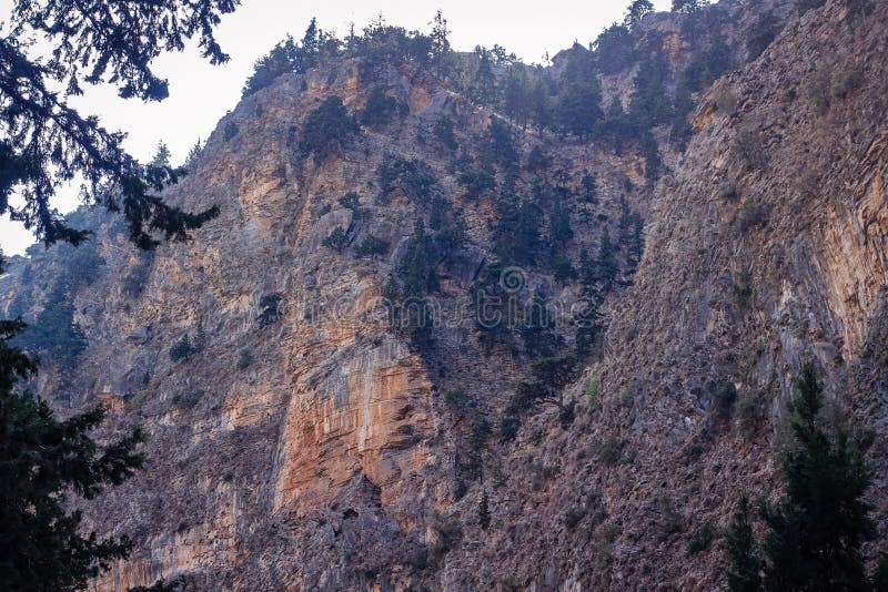 The Cliff is Made Up of Beautiful Terrain that Has Been Grown with ...