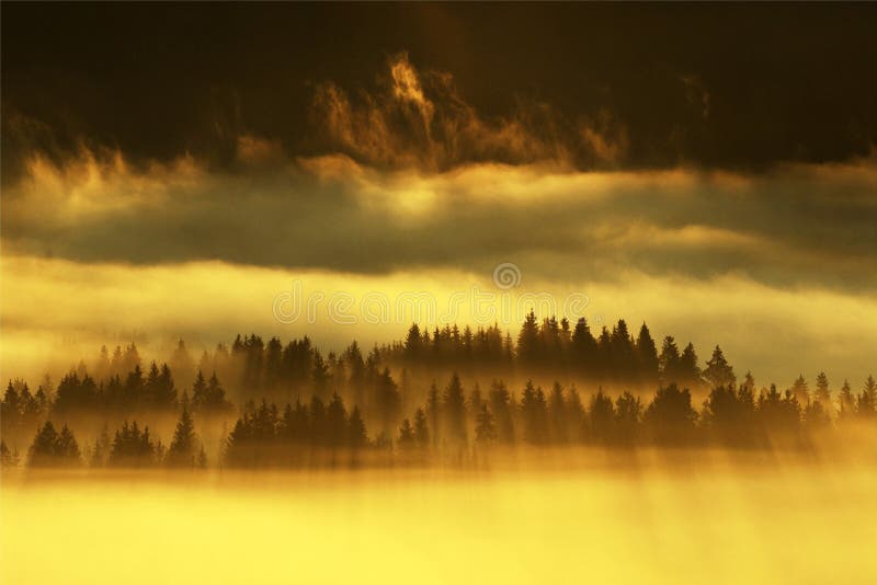 Ground fog stock image. Image of sunrise, shine, mist - 26023405