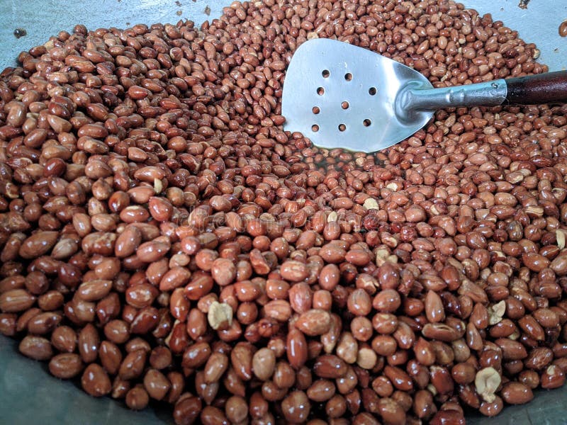 Ground fried peanuts stock image. Image of bean, peanuts - 262268419