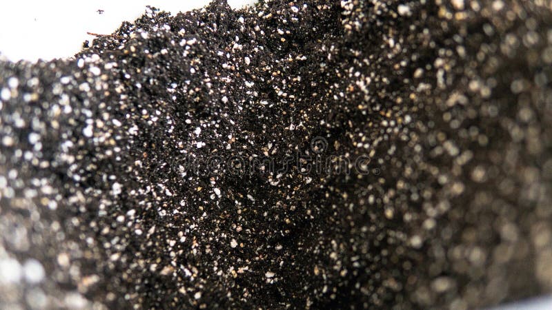 Ground for Growing Medical Marijuana Indoor. Stock Image - Image of ...