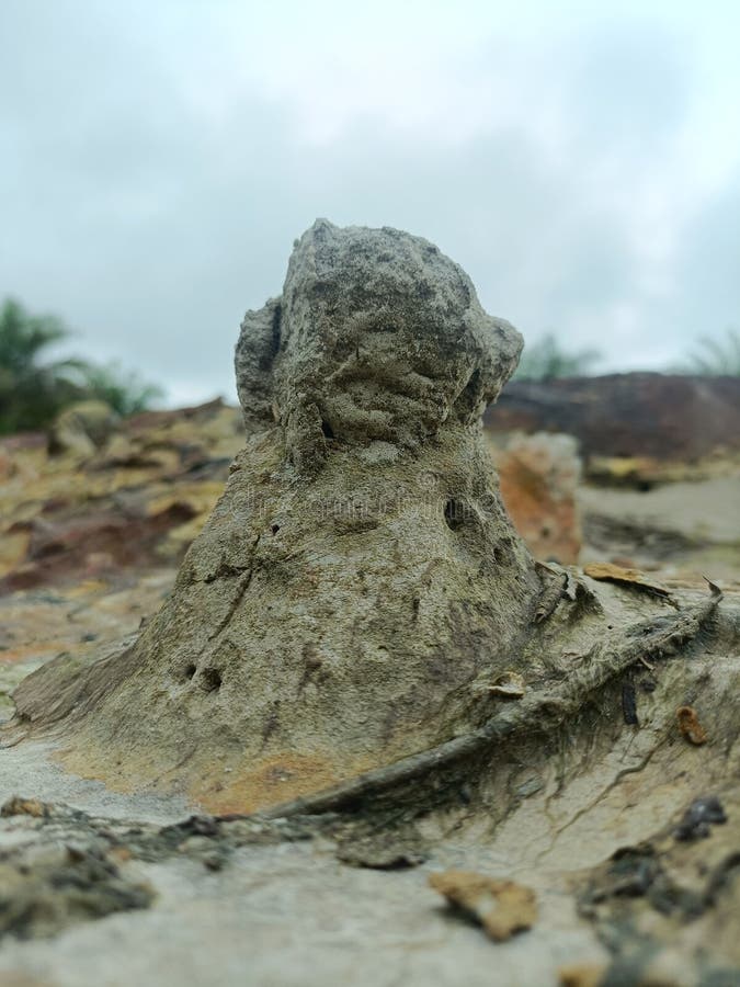 The Ground that Has Turned into Stone Forms a Beautiful Small Hill ...