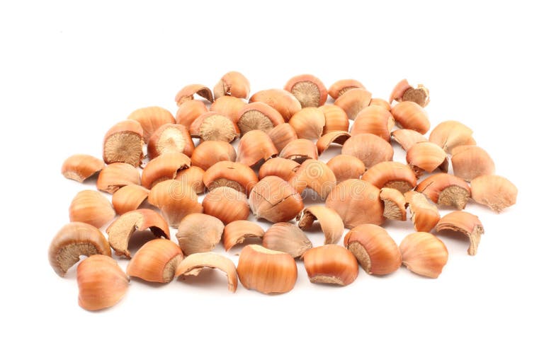 Ground Hazelnut Shells Stock Photos - Free & Royalty-Free Stock Photos ...