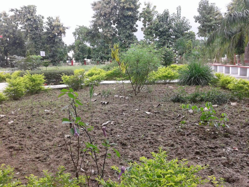 Ground hotbed stock photo. Image of garden, plant, college - 86362118